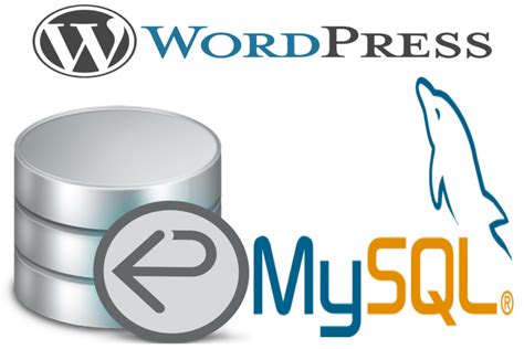 Why Does Wordpress Use Mysql Mysqls Importance To Your Site Wp