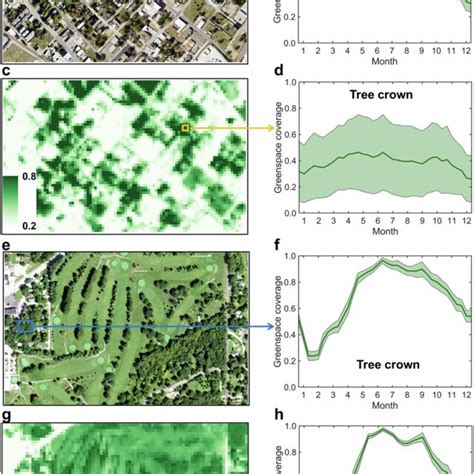 Flowchart For Generating Spatiotemporal Greenspace Data Cube From