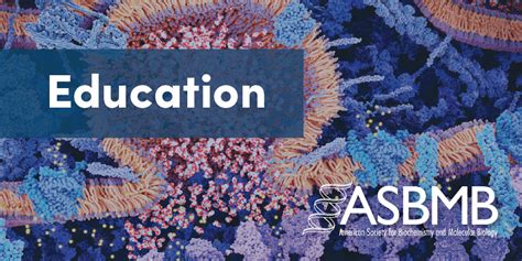 Structure And Function