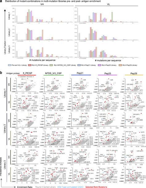 multi mutation screening enhances understanding of cis43 download