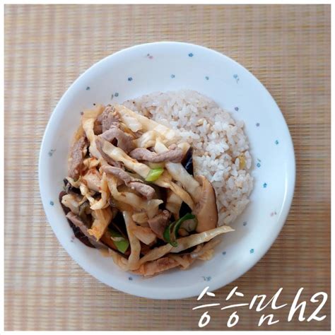 돼지고기 가지 덮밥 레시피 돼지고기 양배추 볶음