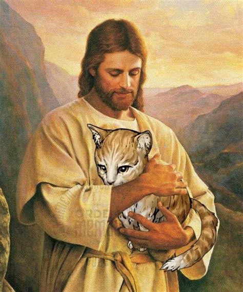 Bisteca Osni O Segredo Na Ilha Ordem Paranormal Rpg Cellbit Memes Best Rpg Cats