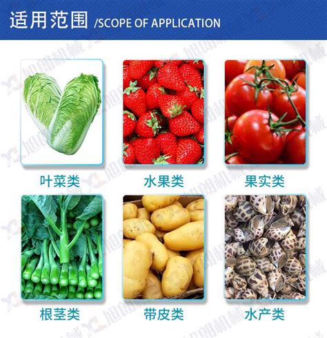 果蔬清洗机