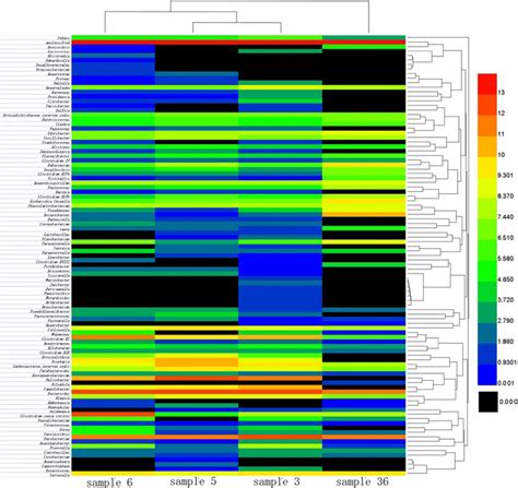Dendrogram Showing The Bacterial Distribution Among The Four Samples