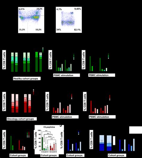 Fig S8 Differentiation Phenotypes In CD8 T Cells A Representative Download Scientific