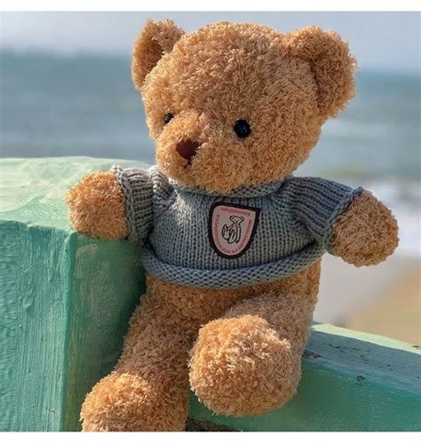 Dms 도매라인 밴프키즈 테디베어30cm 곰인형선물용 봉제인형장난감어린이날선물테디 베어 티몬