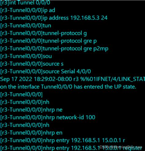 ospf在mgre中的应用 csdn博客