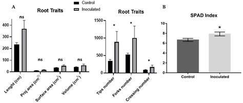 Multiomic Approaches Reveal Hormonal Modulation And Nitrogen Uptake And Assimilation In The