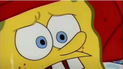 스폰지밥에 나온 스폰지밥 성우