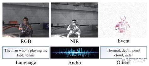 多模态预训练大模型一个广泛的调研综述 知乎
