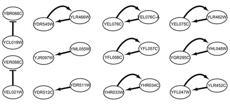 The Yeast Gene Regulatory Subnetworks Constructed In Each Of 10000