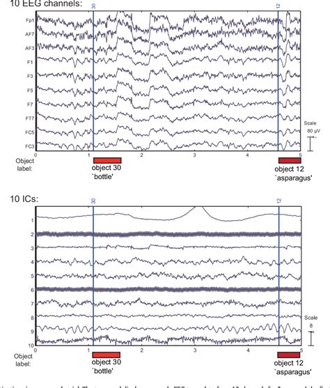 Figure 3 From Single Trial Classification Of Eeg In A Visual Object Task Using Ica And Machine