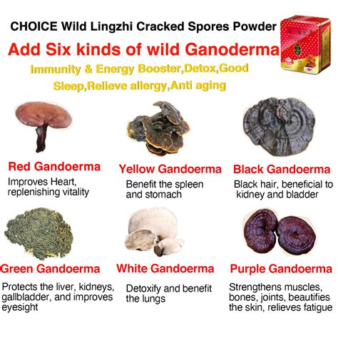 Sg Seller Lingzhi Cracked Spore Powder 350mgx120 Capsules Add Six