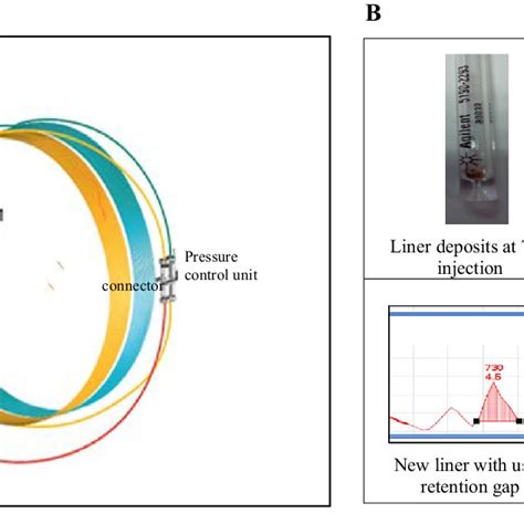 A Schematic Diagram Of Column Configuration With Introduction Of Guard