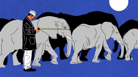 Как работает функция Len в Python — журнал Код