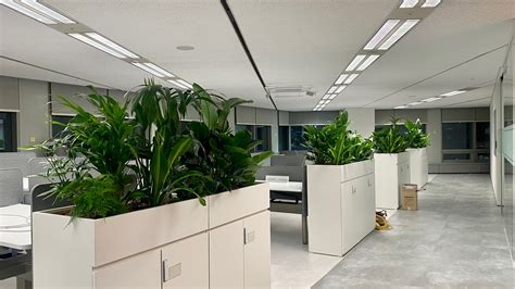 123 우리와 함께 하는 고객 오피스가든ㅣ플랜테리어 사무실 식물 화분 관리 전문