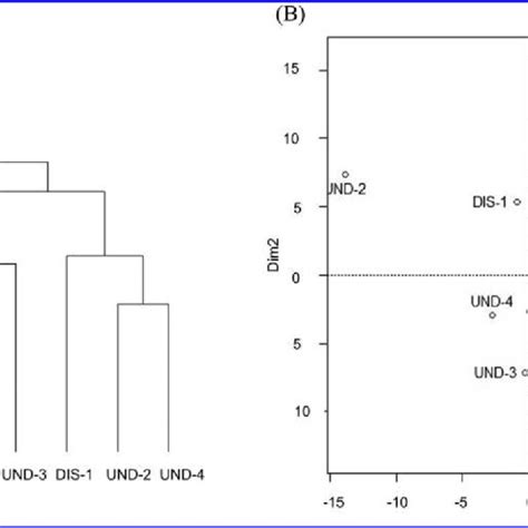 A The Unweighted Pair Group Method With Arithmetic Mean Phenogram