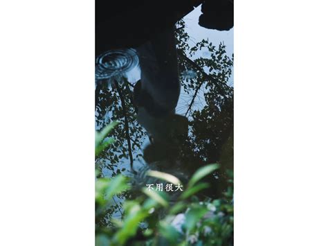 我想有个院子迎风 站酷zcool