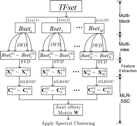 schematic diagram of clustering tf images tfis using multi‐block