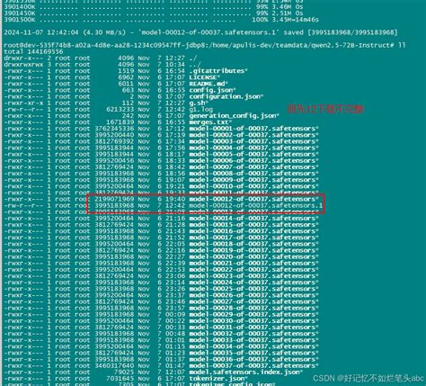 Mindie大模型测试及报错fatal Python Error Pythreadstateget The Function Must