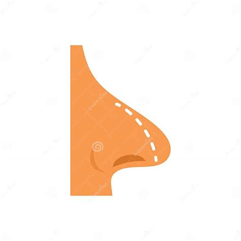 Plastic Surgery Of The Nose Showing Rhinoplasty Procedure Stock Illustration Illustration Of
