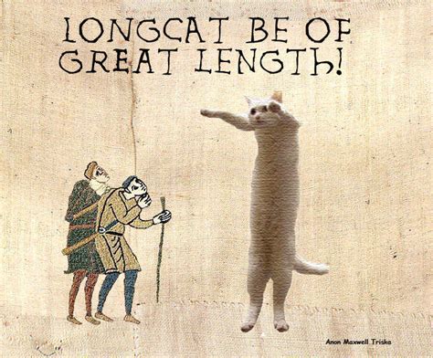 Longcat Know Your Meme
