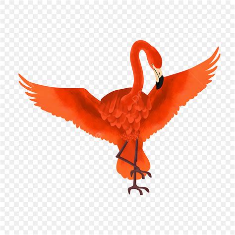 무료 일러스트 핑크 만화 플라밍고 벡터 면제 단추 만화 벡터 Png 플라밍고 만화 플라밍고 Png 일러스트 및 Psd 이미지 무료 다운로드 Pngtree
