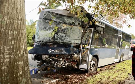 Bus Crashes Into Tree In Auckland Three Taken To Hospital Rnz News