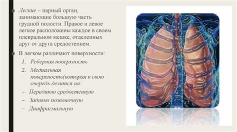 Топографическая анатомия и оперативная хирургия легких - презентация онлайн