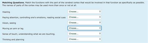 Solved Choose Parietal Lobe Fusiform Area Temporal Lobe