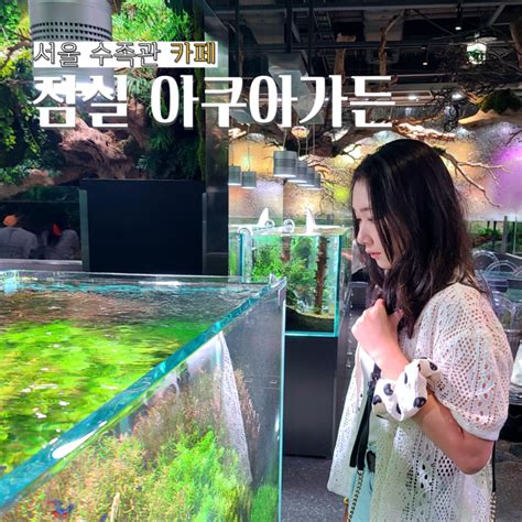 잠실 아쿠아가든 서울 수족관 카페 물멍 가능한 곳 네이버 블로그