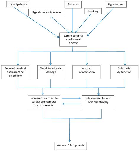 Undifferentiated Schizophrenia Pathophysiology