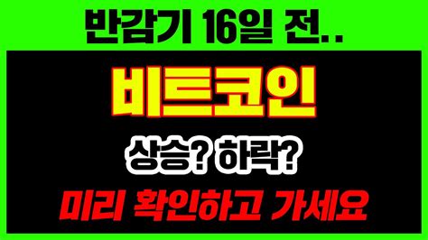 반감기 16일 전 비트코인 상승 하락 미리 확인하고 가세요 비트코인 비트코인전망 비트코인호재 Youtube
