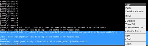 Juliabox Console Copy Paste Clipboard Not Working Stack Overflow