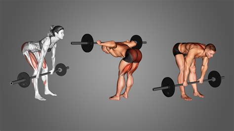 5 Best Barbell Hamstring Exercises With Pictures Inspire US