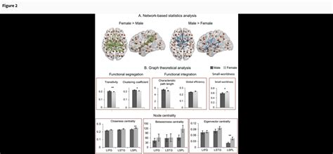 Bio Psych At Bowdoin On Twitter 2 2 The Language Processing Networks When Compared To Males