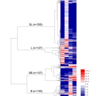 Heat Map And Two Dimensional Hierarchical Clustering Of EST Frequencies