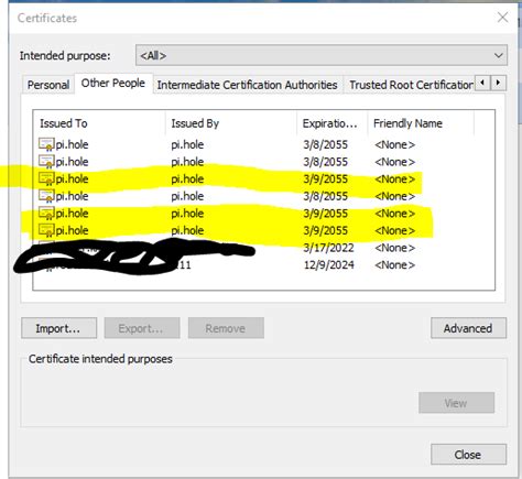 wrong domain in ca certificate secondary pihole in pihole toml but