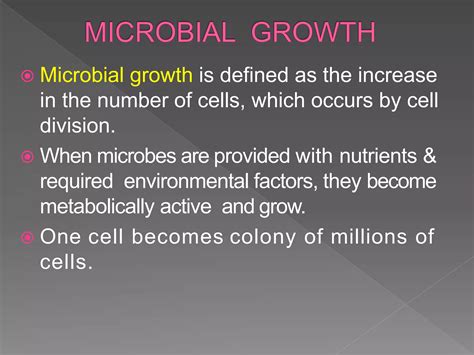 Microbial Growth Pptx