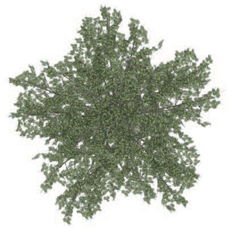“tree Model Simplification For Fast Interactive Rendering” Acm