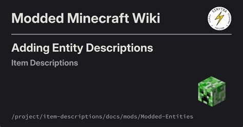 Adding Entity Descriptions Item Descriptions