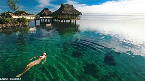 스트레스 불안 우울을 치유하고 마음을 치유하는 편안한 음악🌿수면과 공부 1 Youtube