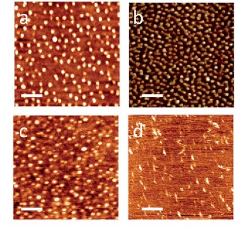 Figure 1 From Electro Responsive Polyelectrolyte Coated Surfaces