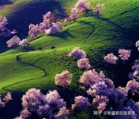 全国旅游创作者，您有一封来自那拉提大草原的邀请函 知乎