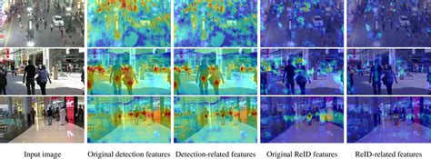 Visualisation Of The Original And Task‐related Feature Maps Download Scientific Diagram