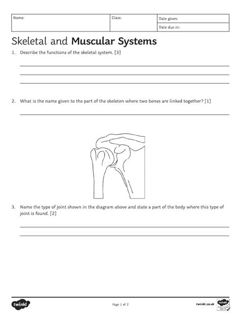 T3 Sc 189 Ks3 Skeletal And Muscular Systems Homework Activity Sheet