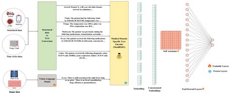 논문 리뷰 The Multimodal Paradox How Added And Missing Modalities Shape