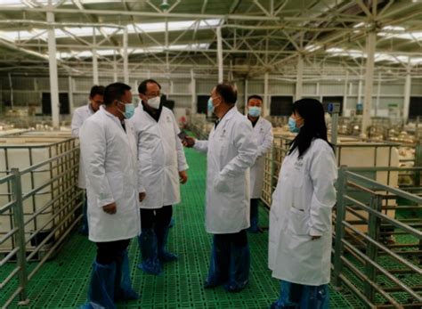 永靖县科技特派团：聚焦肉羊产业高质量发展，积极培育社会化服务力量养殖技术永靖县畜牧综合服务中心