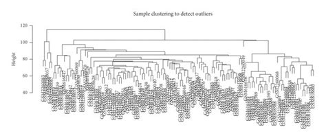 Sample Clustering And No Outlier Samples Are Generated A The Download Scientific Diagram