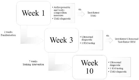 Schematic Figure Of Study Design Graphical Representation Was Designed